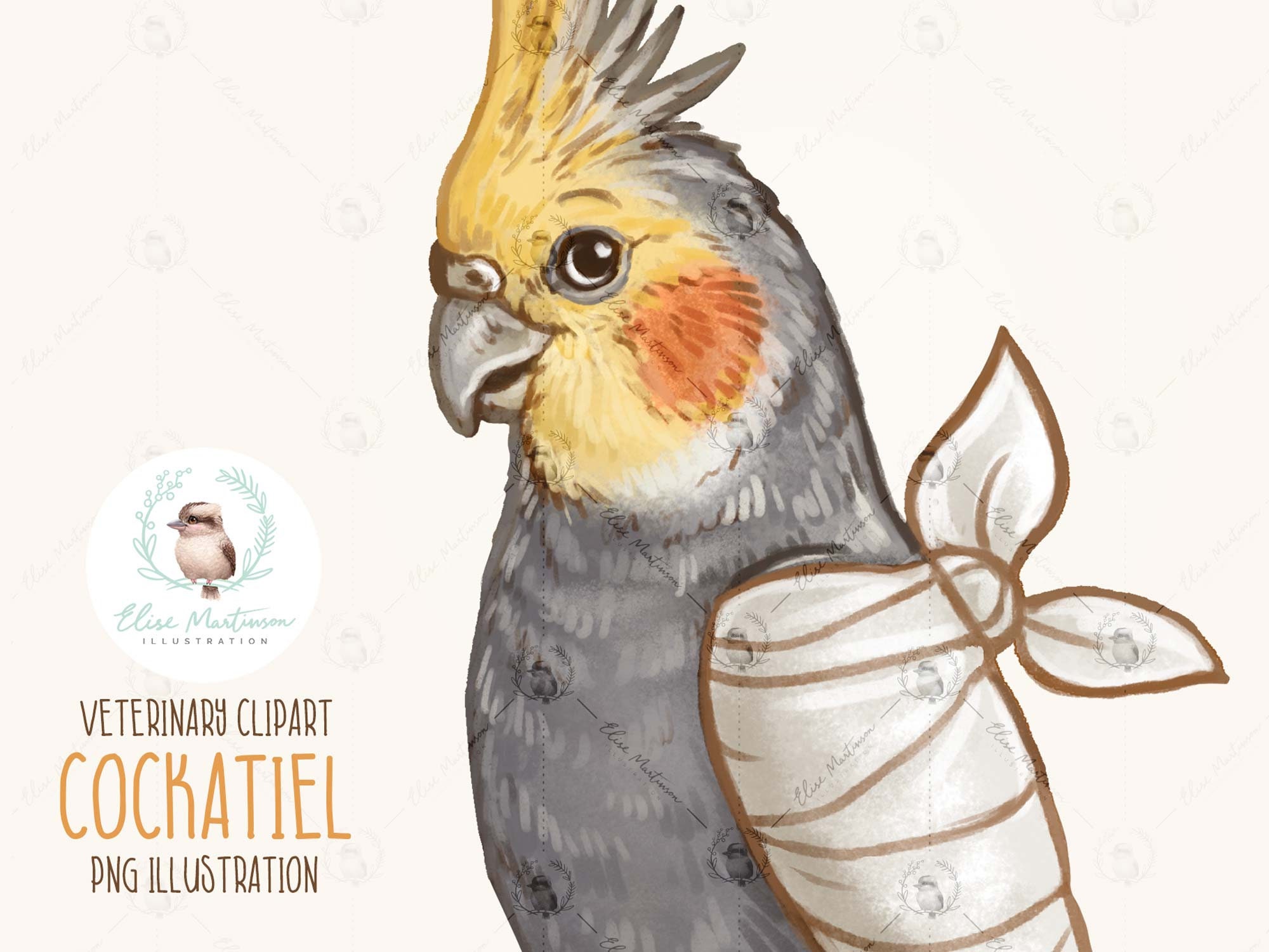 Veterinary Clipart Cockatiel PNG Vet Clinic Clip Art Animal - Etsy Canada