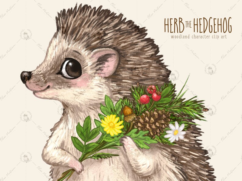 Woodland Clipart of Hedgehog Cute Hedgehog Clipart Hedgehog | Etsy