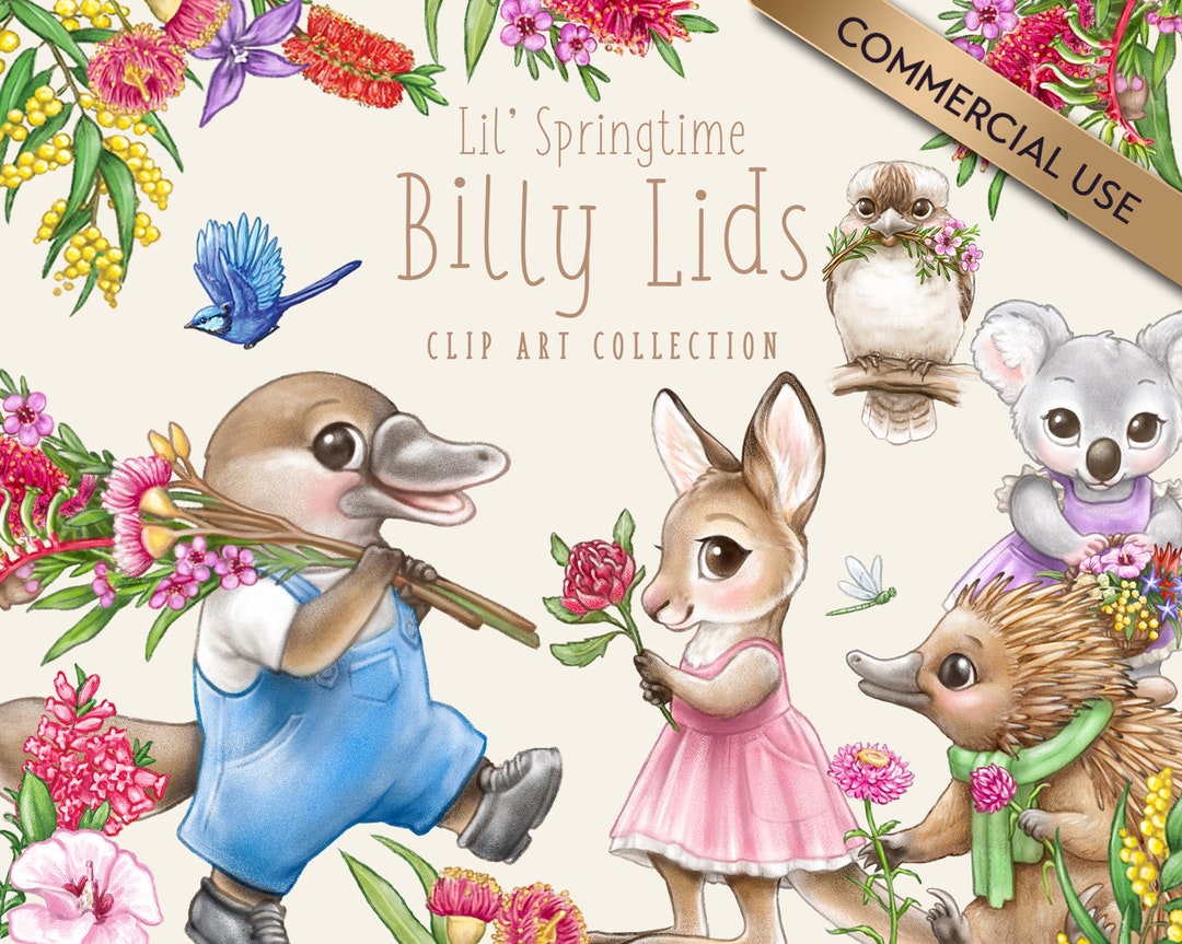 Australian Animal Clipart, Koala Clipart, Cute Animal Clipart ...