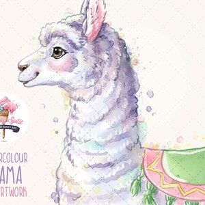 Llama Clipart, Alpaca PNG Watercolor Illustration, Llama Clip Art for ...