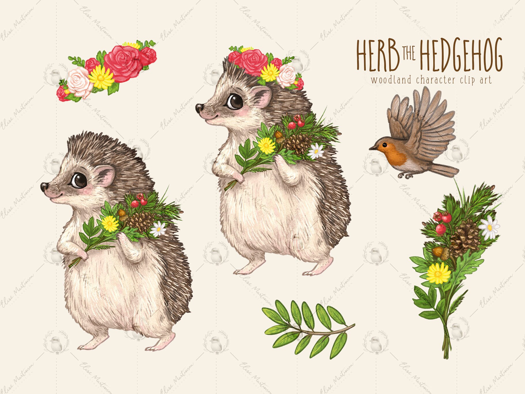 Woodland Clipart of Hedgehog Cute Hedgehog Clipart Hedgehog - Etsy