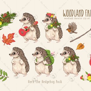 Woodland Animals Clipart Bundle, Fall Cute Hand Drawn Clipart of ...