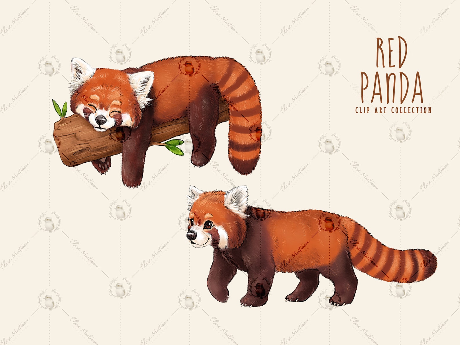 Cute Red Panda Clipart Bundle Red Panda PNG Clip Art Pack - Etsy