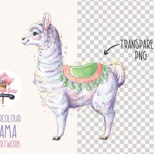 Llama Clipart, Alpaca PNG Watercolor Illustration, Llama Clip Art for ...