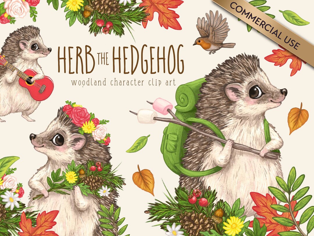 Woodland Clipart of Hedgehog, Cute Hedgehog Clipart, Hedgehog ...