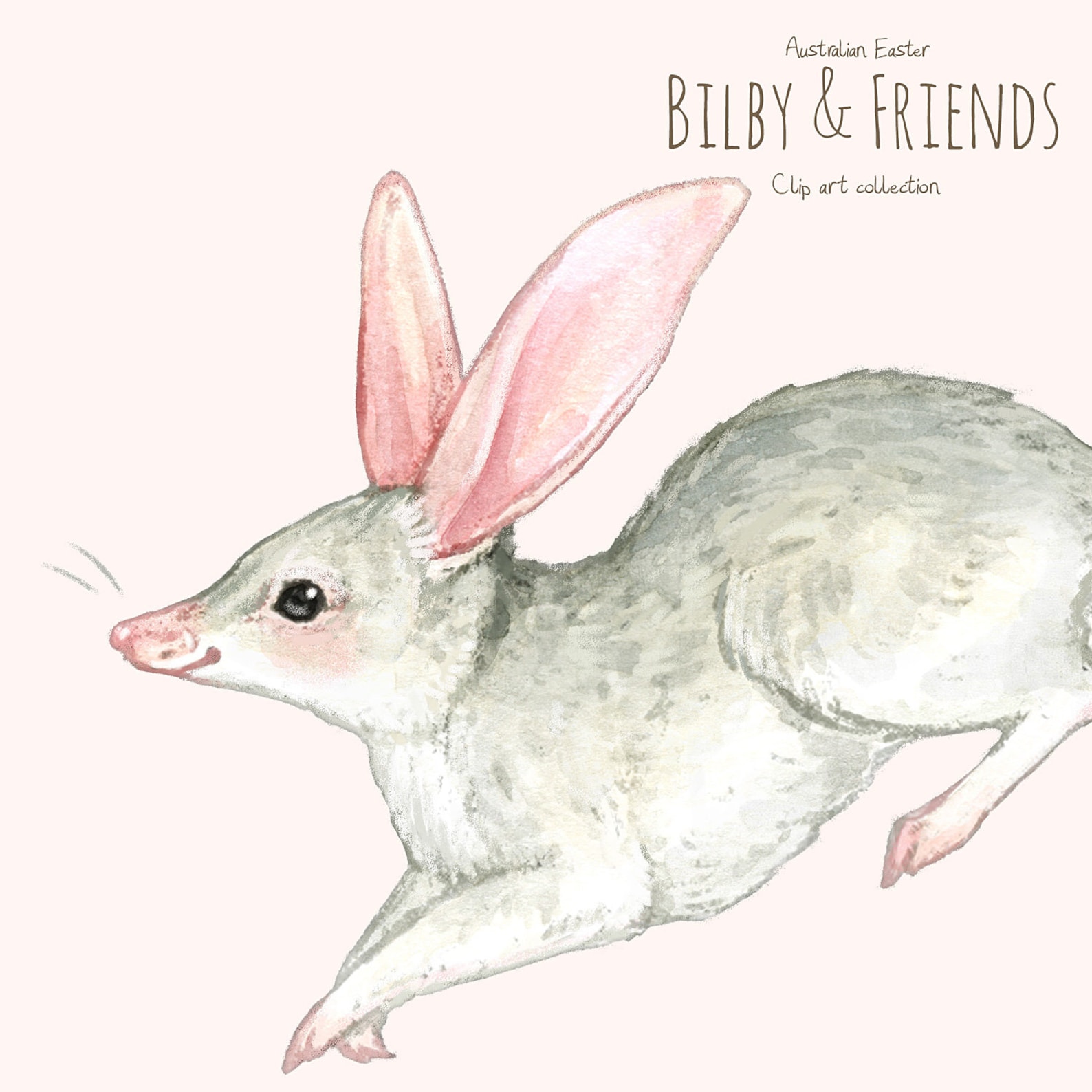 Australian Easter Bilby Clip Art | Watercolor Animals (digital Download ...
