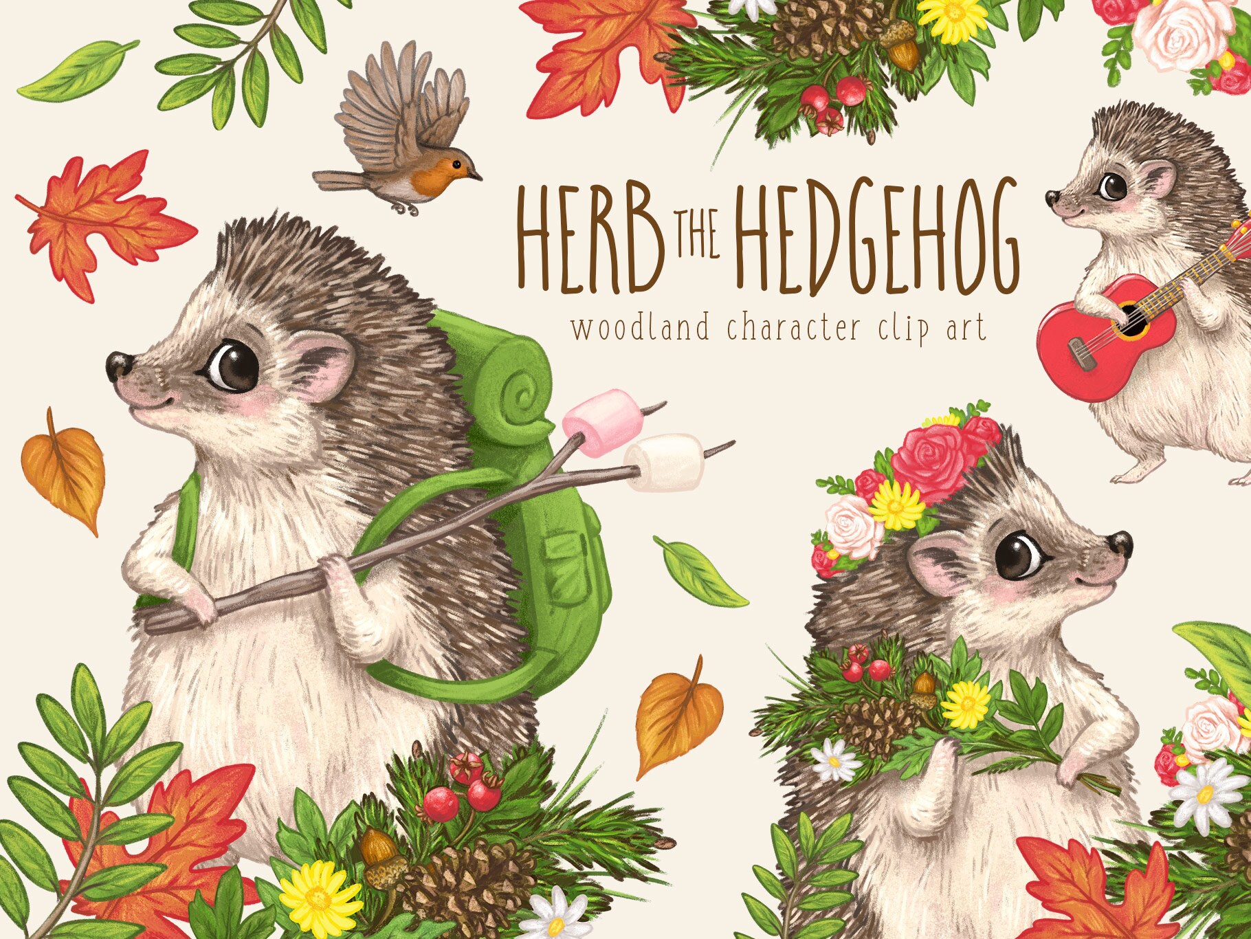 Woodland Clipart of Hedgehog Cute Hedgehog Clipart Hedgehog | Etsy UK