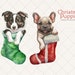 Christmas Puppy Clipart, Cute Christmas Puppies in Stockings, Dog ...