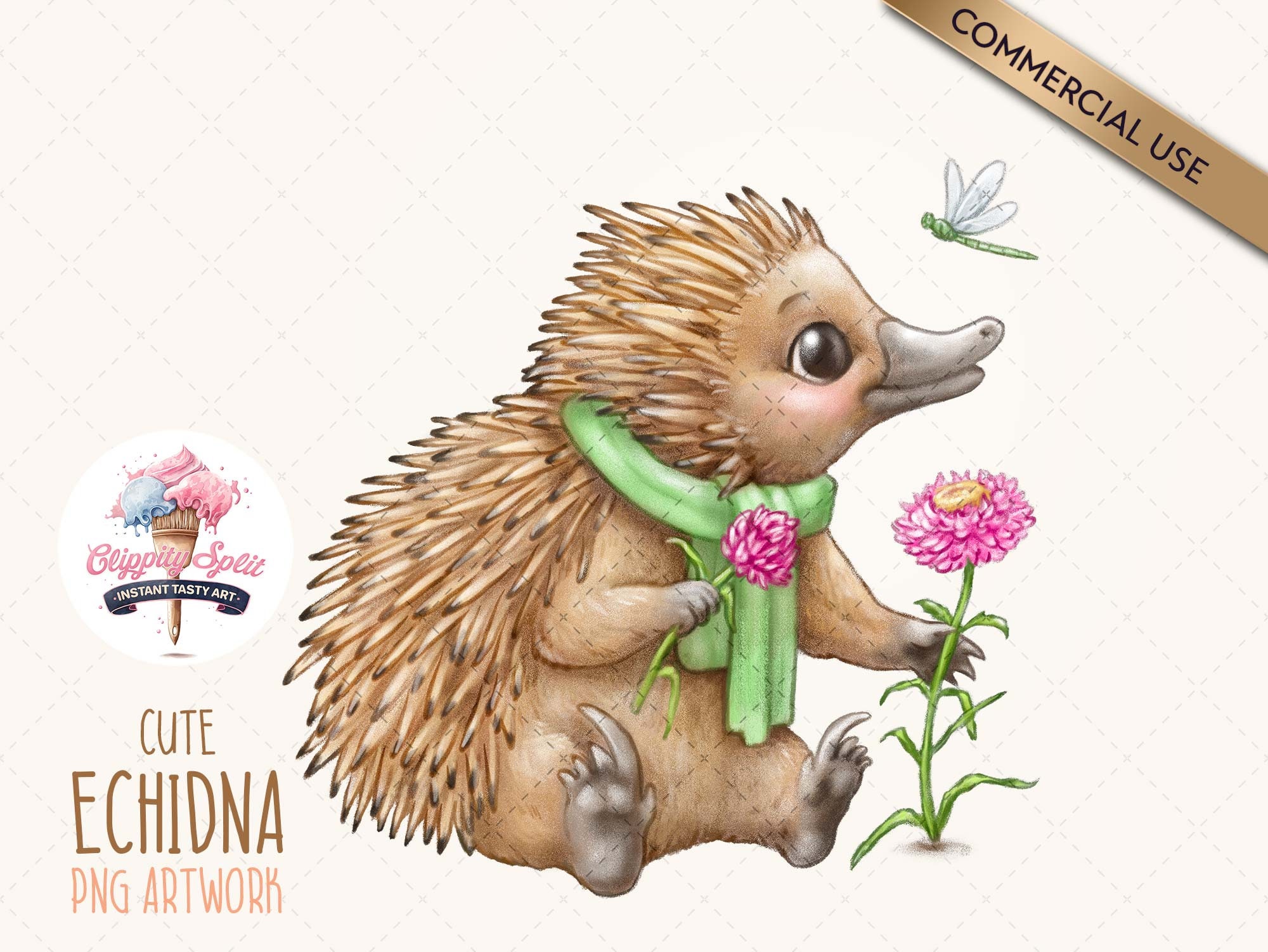 Preschool Crafts For Echidna