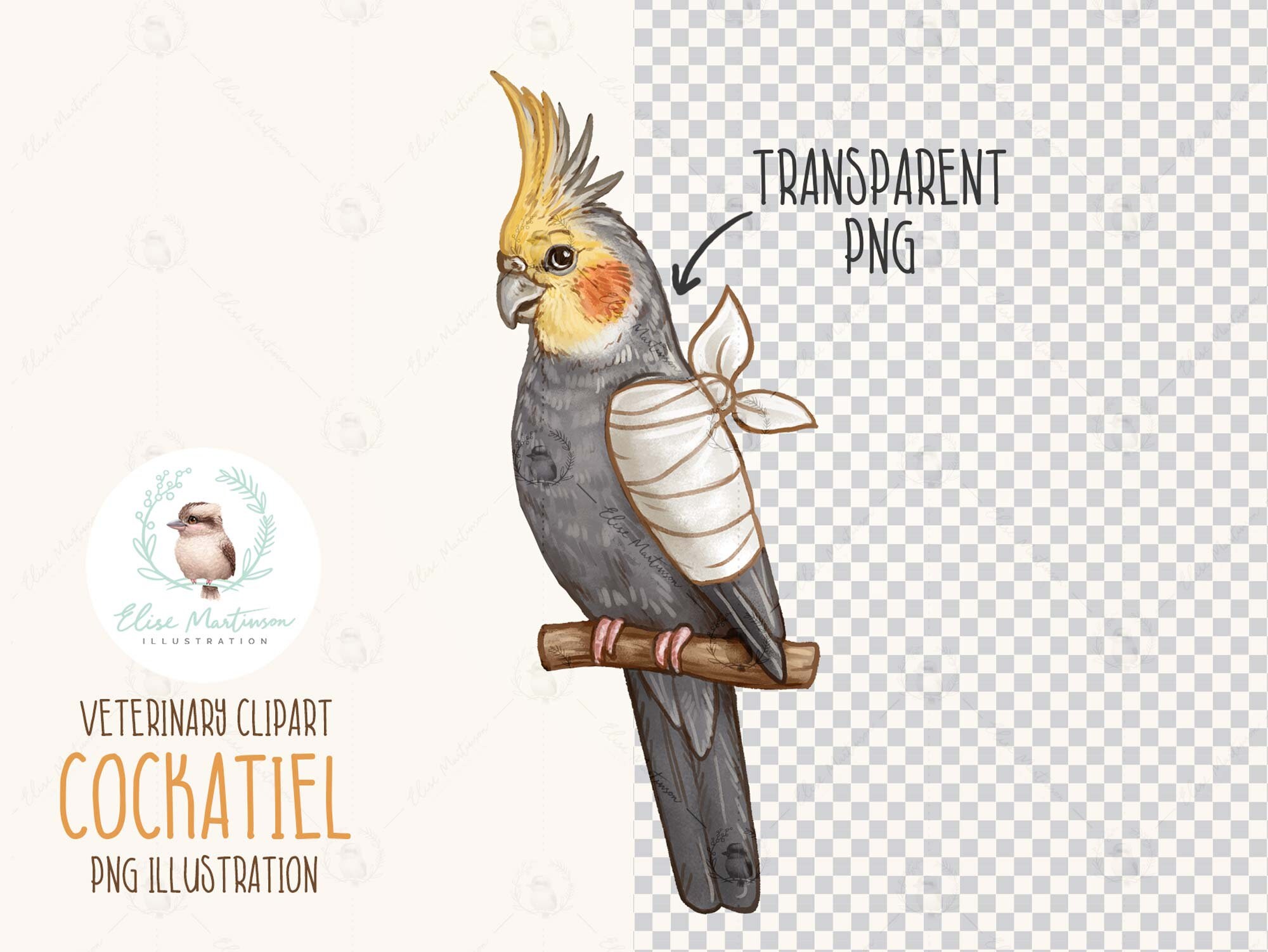 Veterinary Clipart Cockatiel PNG Vet Clinic Clip Art Animal - Etsy Canada