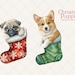 Christmas Puppy Clipart, Cute Christmas Puppies in Stockings, Dog ...