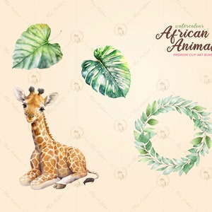Safari Animal Clipart | African Animals | Detailed & High Quality ...
