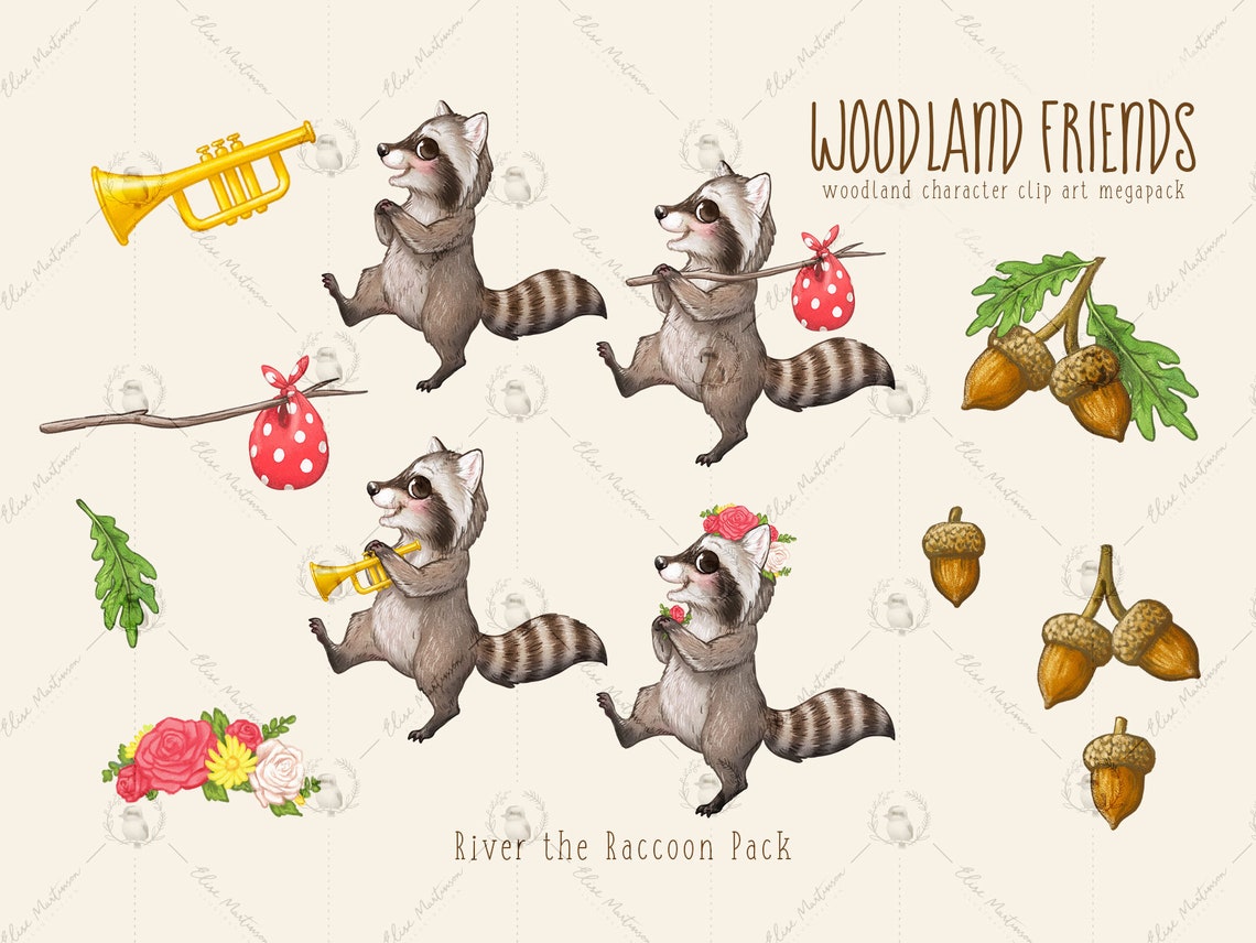 Hand Drawn Woodland Animals Clipart Bundle (PNG Illustration) - Etsy