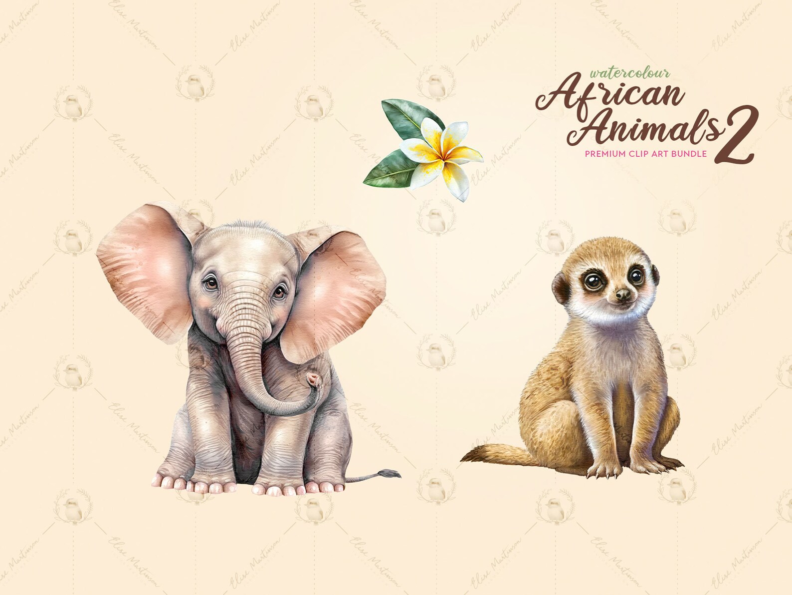 Safari Animal Clipart | African Animals | Detailed & High Quality ...