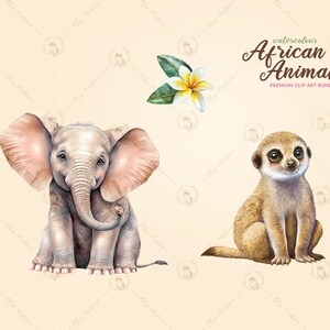 Safari Animal Clipart | African Animals | Detailed & High Quality ...