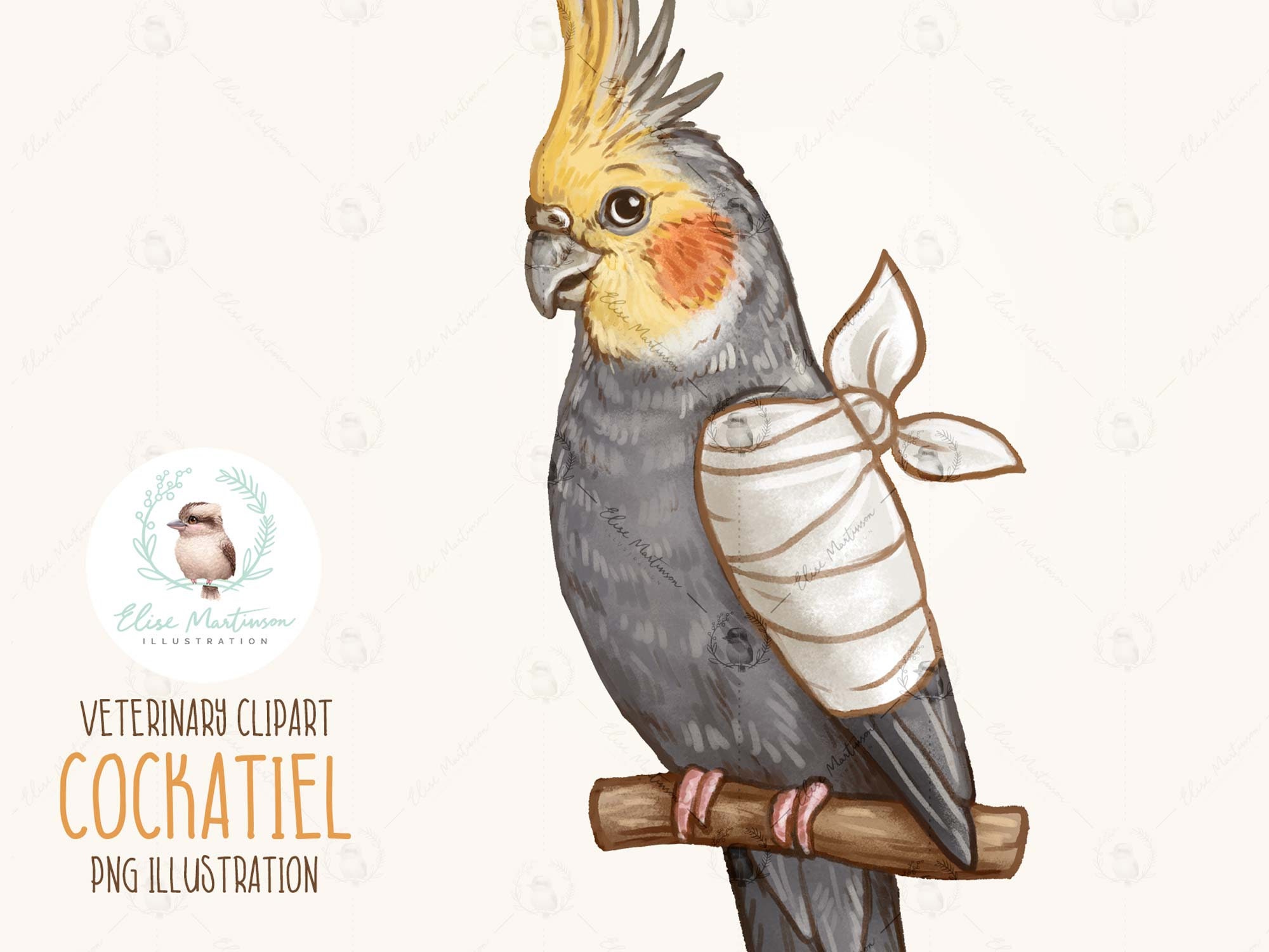 Veterinary Clipart Cockatiel PNG Vet Clinic Clip Art Animal - Etsy Canada