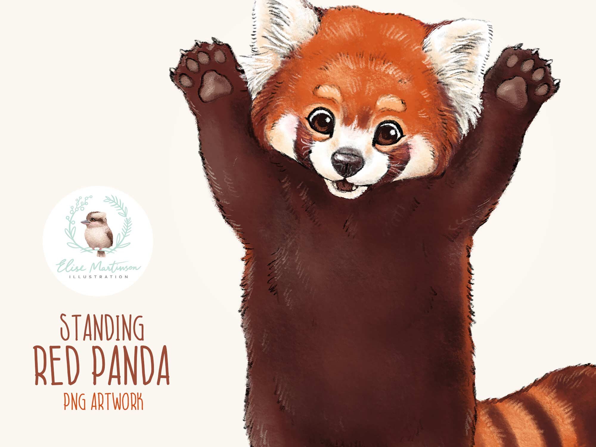 Surprised Red Panda Clipart Standing Red Panda PNG | Etsy UK
