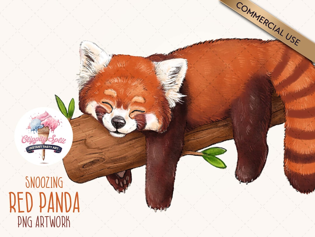 How To Draw A Cute Red Panda
