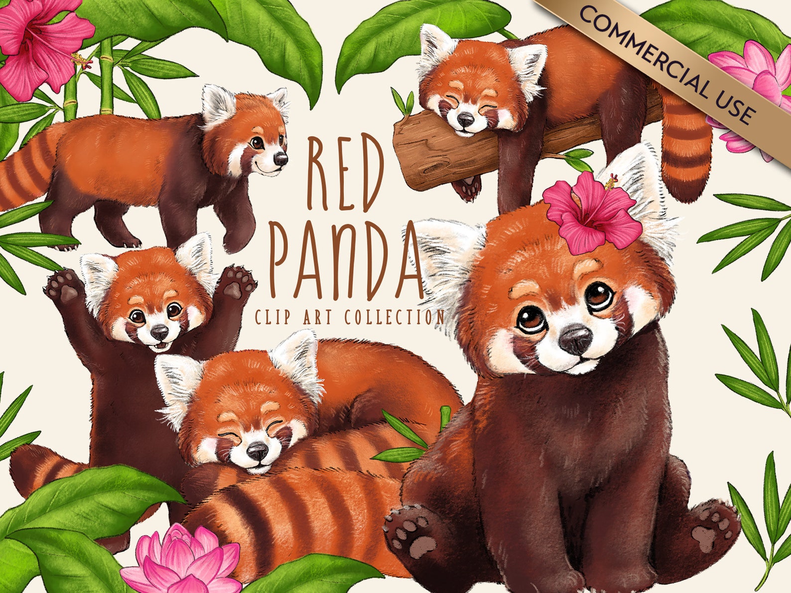 Cute Red Panda Clipart Bundle Red Panda PNG Clip Art Pack - Etsy