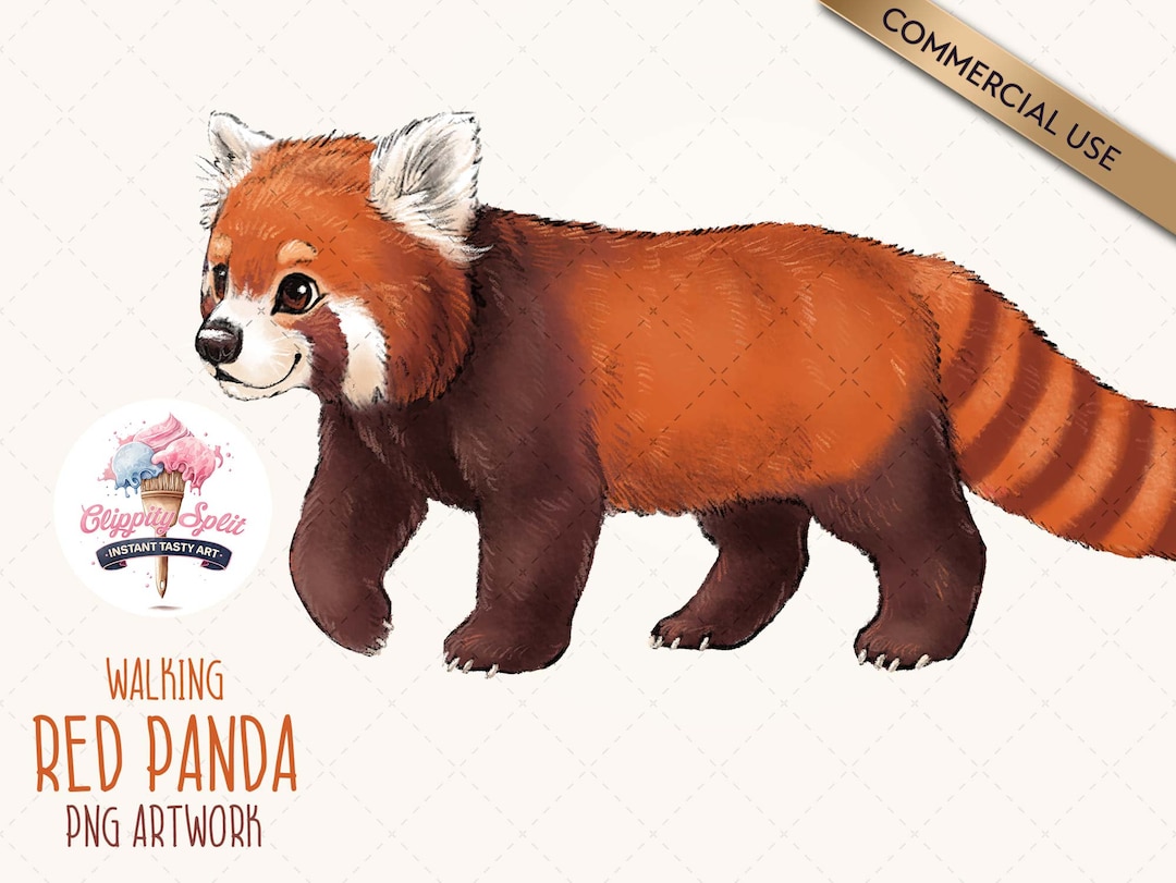 Walking Red Panda Clipart, Cute Red Panda PNG Illustration, Red Panda ...