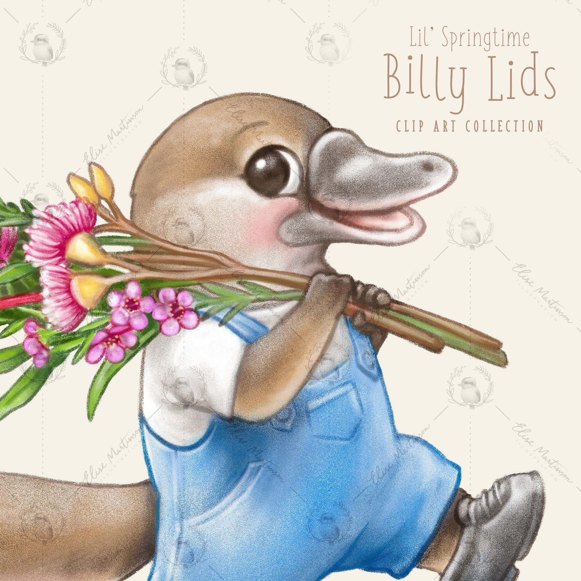 Australian Animal Clipart, Koala Clipart, Cute Animal Clipart ...