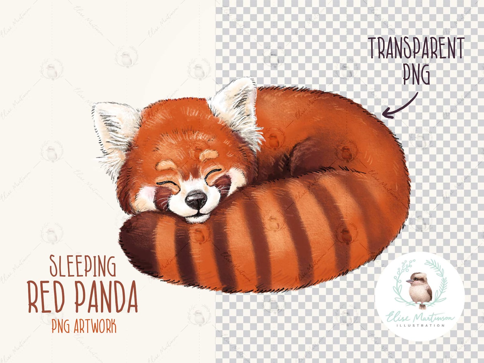 Red Panda Clipart Red Panda PNG Illustration Red Panda Clip - Etsy