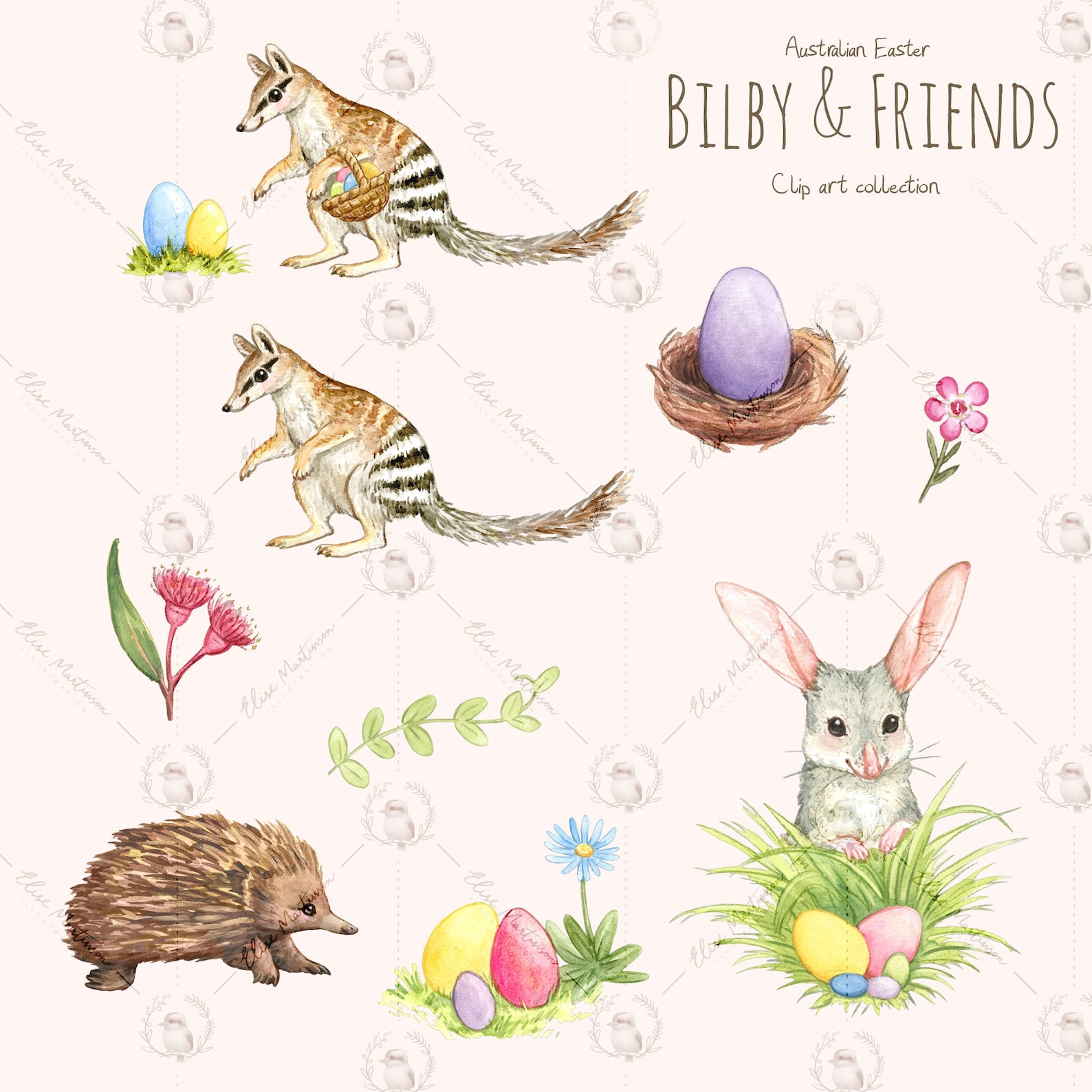 Australian Easter Bilby Clip Art | Watercolor Animals (digital Download ...