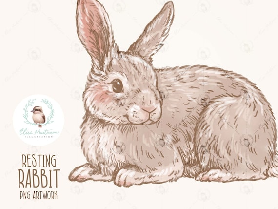 Rabbit Clipart Resting Rabbit PNG Watercolor Easter Clipart - Etsy