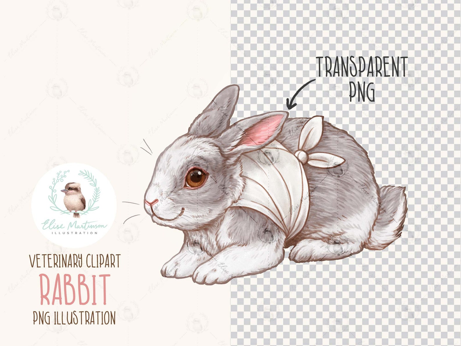 Rabbit Clipart Bunny PNG Veterinary Clipart Vet Clipart - Etsy