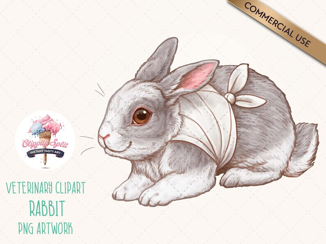 Rabbit Clipart, Bunny PNG, Veterinary Clipart, Vet Clipart, Pet Clipart ...