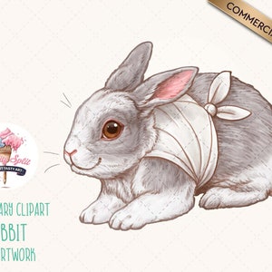 Rabbit Clipart, Bunny PNG, Veterinary Clipart, Vet Clipart, Pet Clipart ...