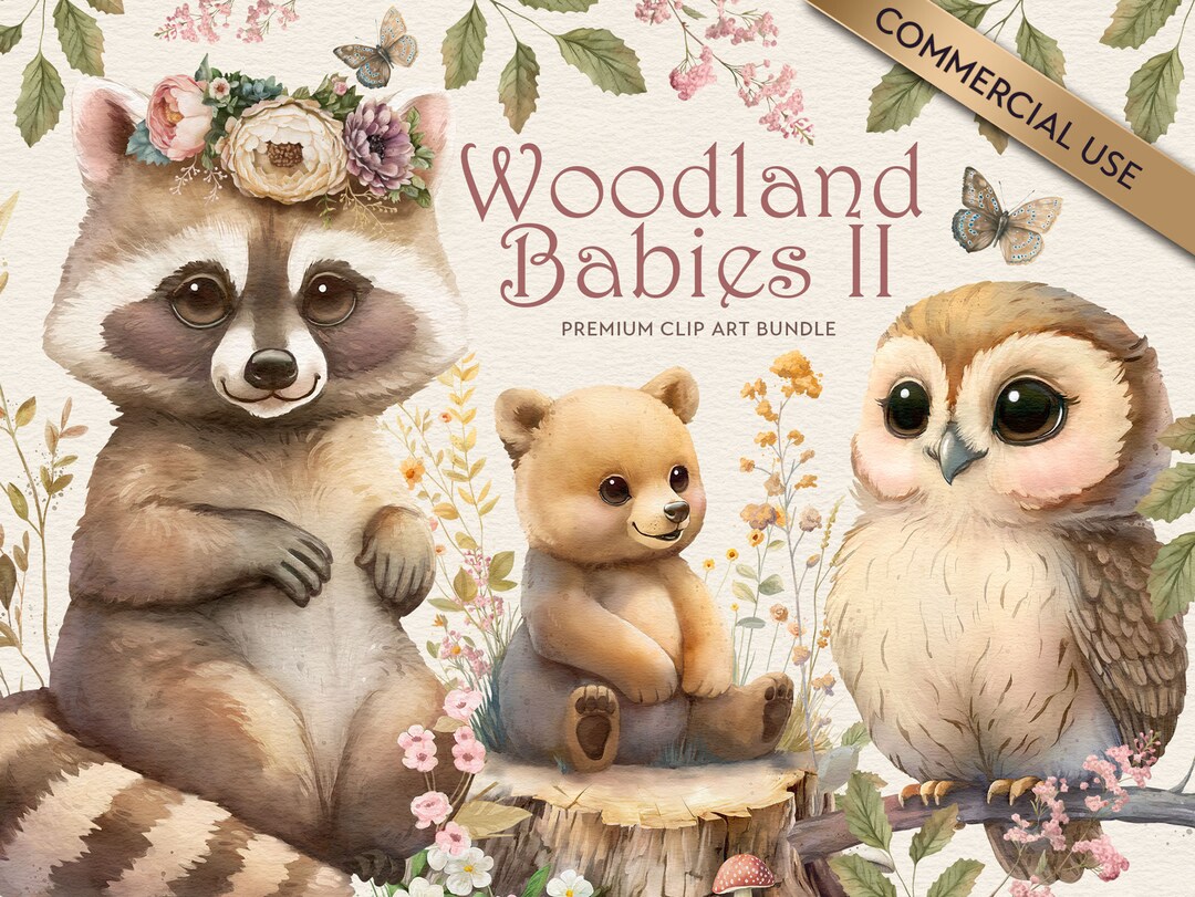 Woodland Baby Animal Clipart for Nursery, Baby Products and Projects ...