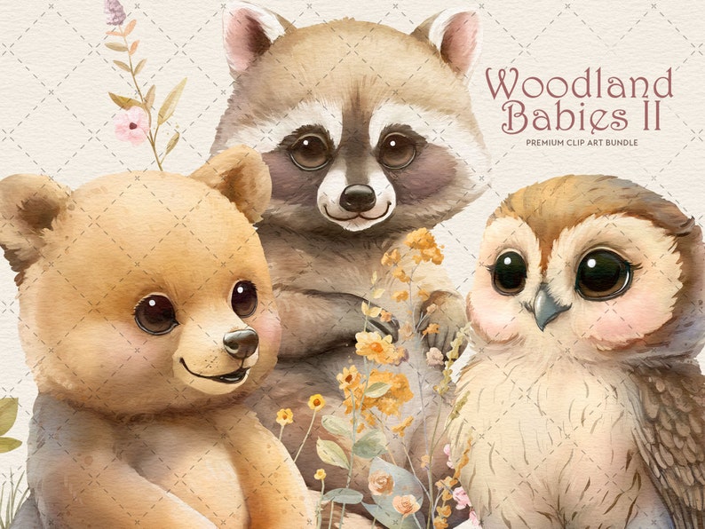 Woodland Baby Animal Clipart for Nursery, Baby Products and Projects ...