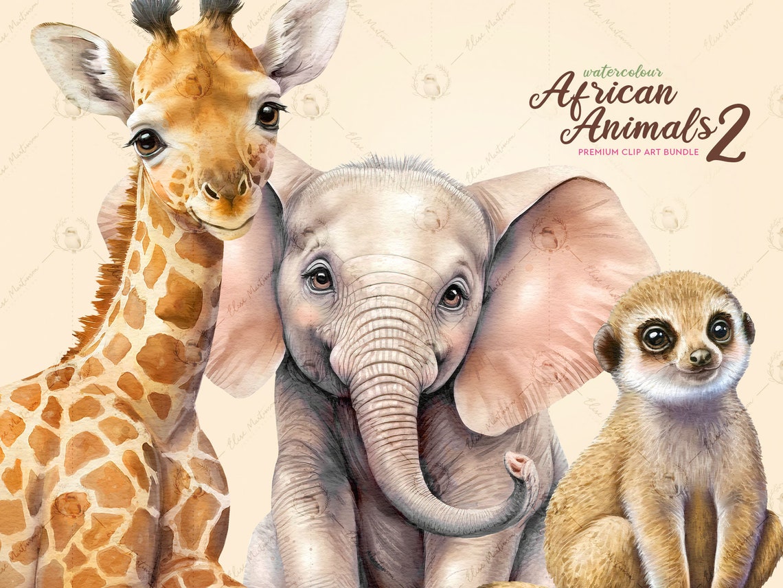 Safari Animal Clipart African Animals Detailed & High - Etsy