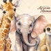 Safari Animal Clipart | African Animals | Detailed & High Quality ...