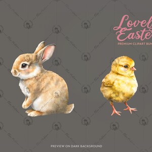 Easter Clipart | Watercolor Easter Bunny Clip Art for Easter Products ...