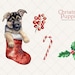Christmas Puppy Clipart, Cute Christmas Puppies in Stockings, Dog ...