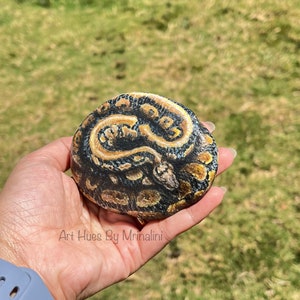 Snake Painted Rock, Coiled Snake Collectible, Quirky Paperweight, Snake ...