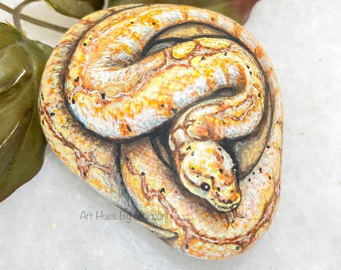 Ball Python Painted Rock, Realistic Coiled Snake Collectible ...
