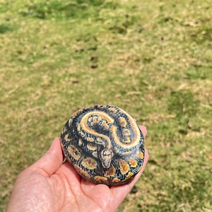 Snake Painted Rock, Coiled Snake Collectible, Quirky Paperweight, Snake ...