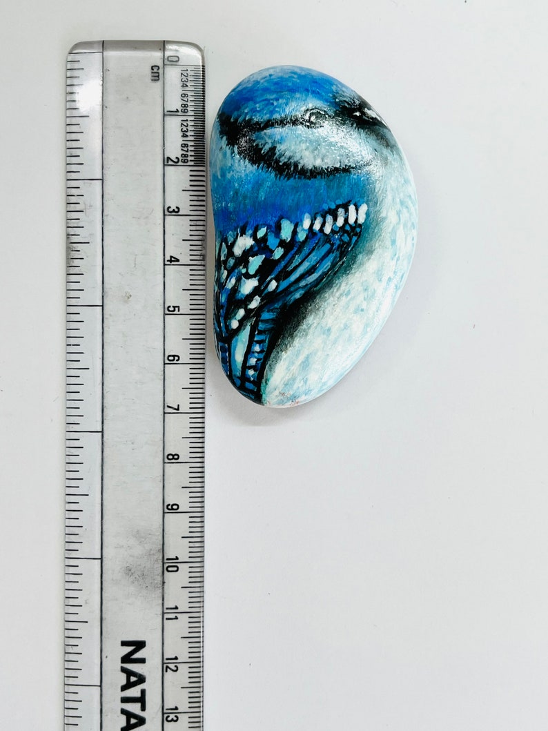 Blue Jay Painted Rock, Bird Rock Painting, Original Bird Painting ...