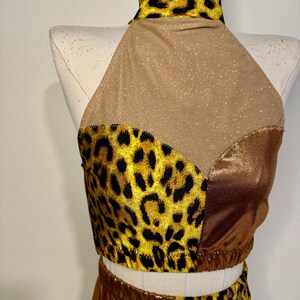 Two Piece Leopard and Bronze Circus Costume for Pole Aerial Lyra ...