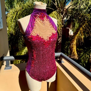 Berry Pink Sequin Panel Leotard for Circus Pole Aerial Dance Lyra ...