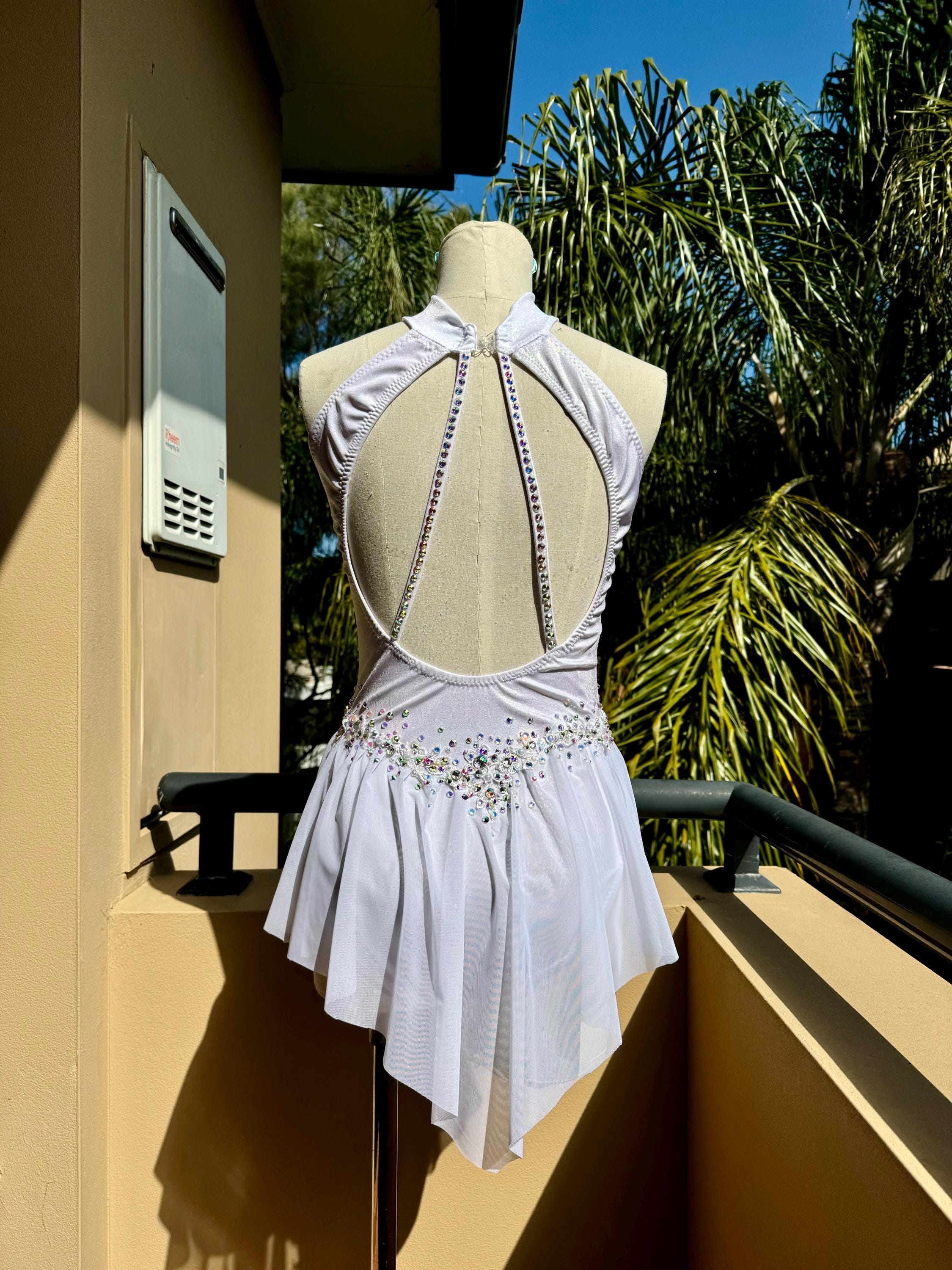 Leotard With Mesh Skirt Circus Performance Staker Ice Skater Pole ...