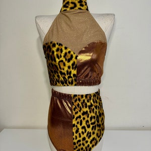 Two Piece Leopard and Bronze Circus Costume for Pole Aerial Lyra ...