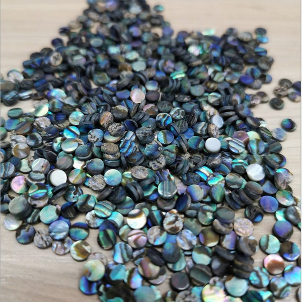 Blue Abalone Shell - Etsy