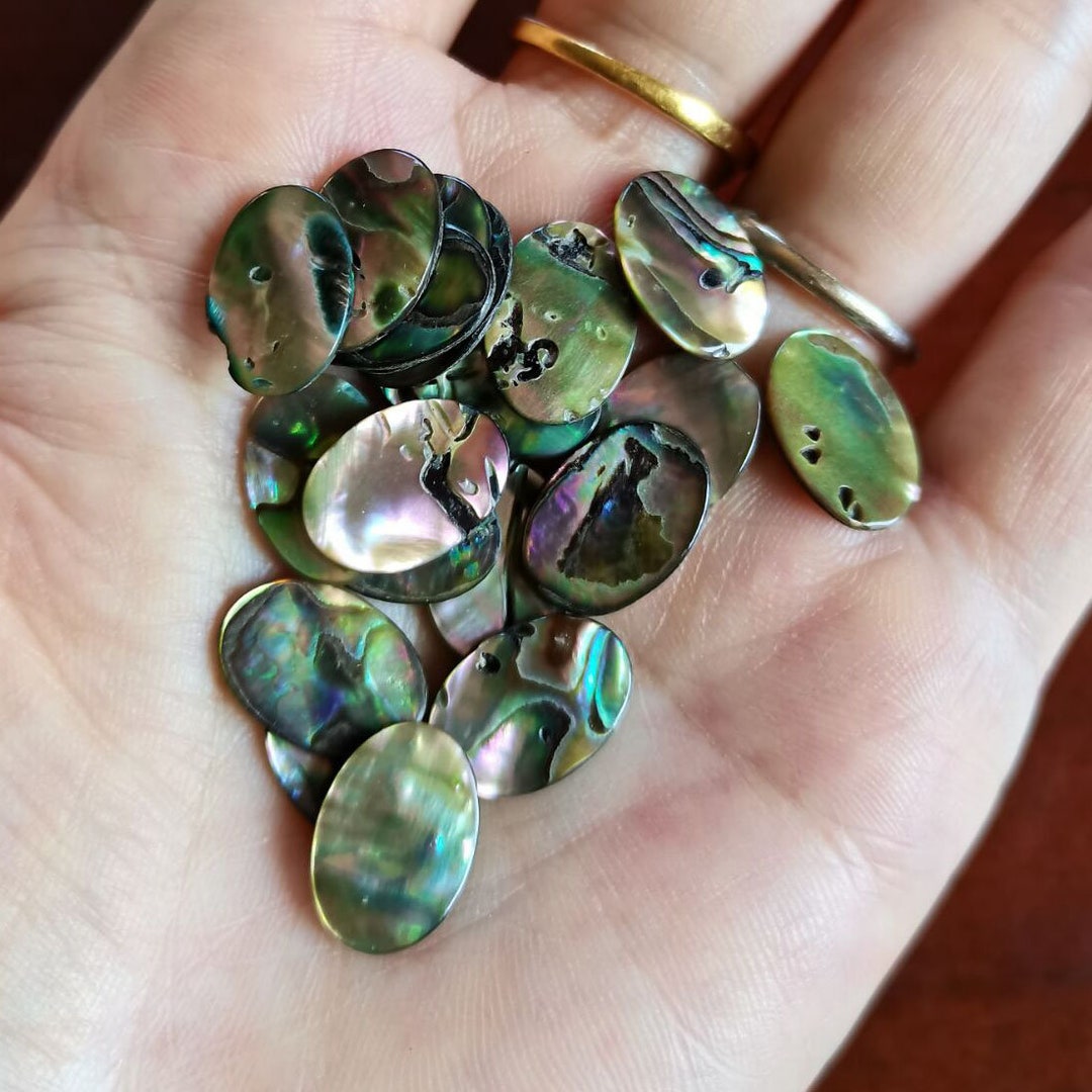 14mm Natural Abalone Shell Oval Double Flat Gemstone CAB Cabochon - Etsy