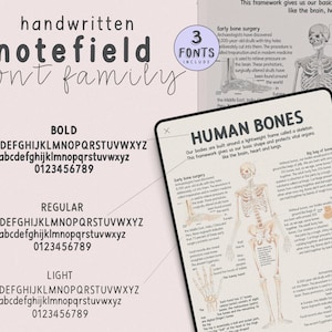 Note Field Handwritten Font Family Bundle for Digital Planning and Note ...