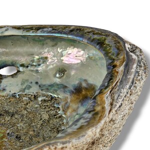 Large Abalone Shell House Beach Nautical Décor Coastal Shell ...