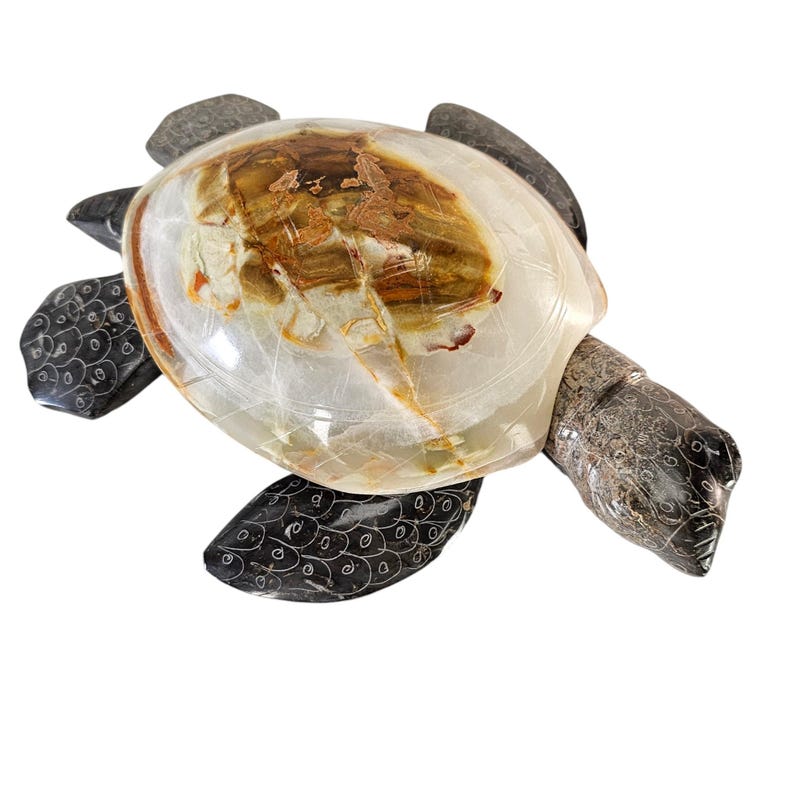 Carved Turtle - Etsy
